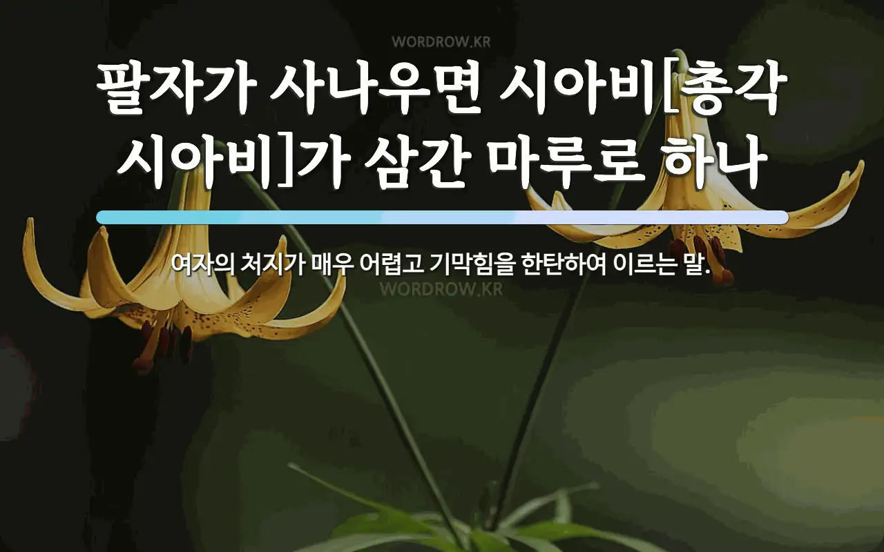 팔자가 사나우면 시아비총각 시아비가 삼간 마루로 하나 뜻 여자의 처지가 매우 어렵고 기막힘을 한탄하여 이르는 말